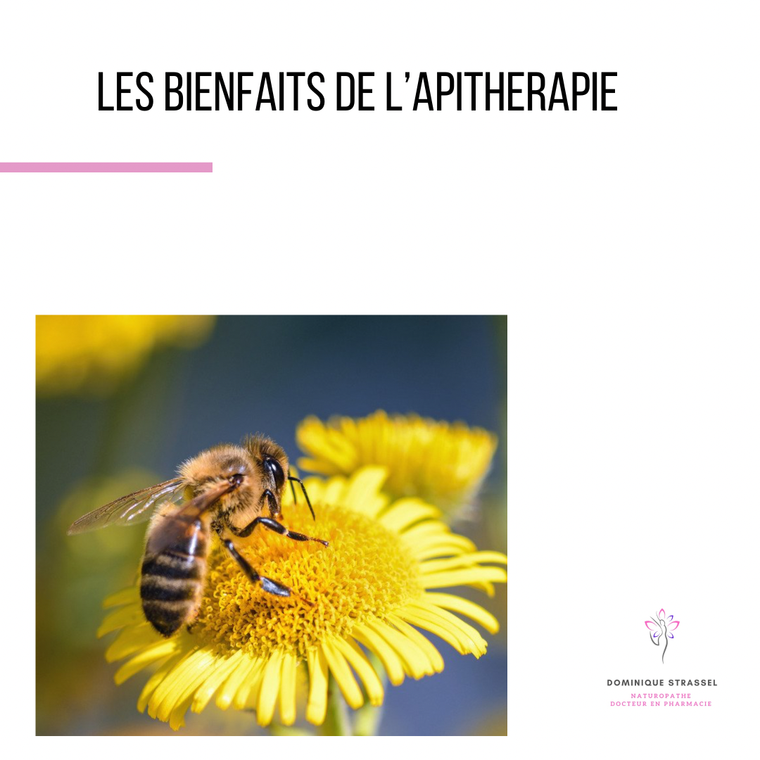 Les bienfaits de l’apithérapie | Dominique Strassel - Naturopathe